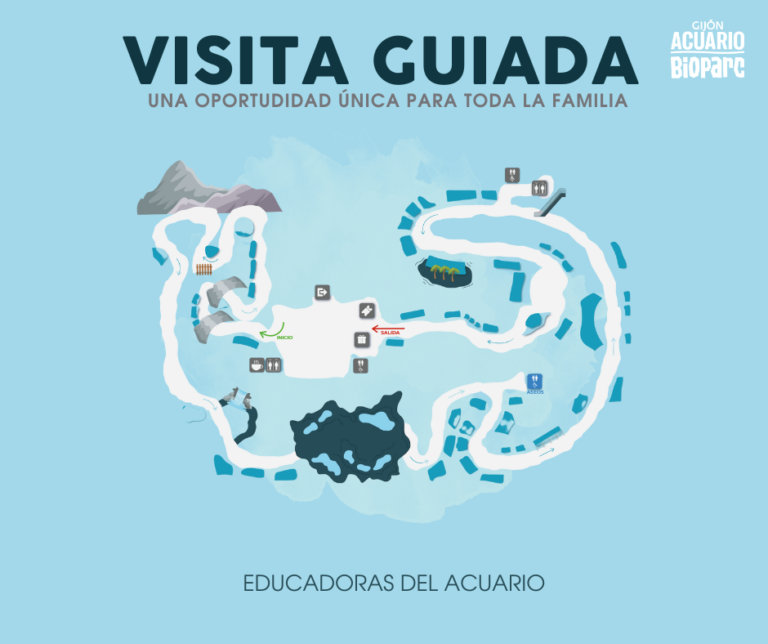 VISITA GUIADA AL ACUARIO - 18 de febrero - BIOPARC Acuario de Gijón