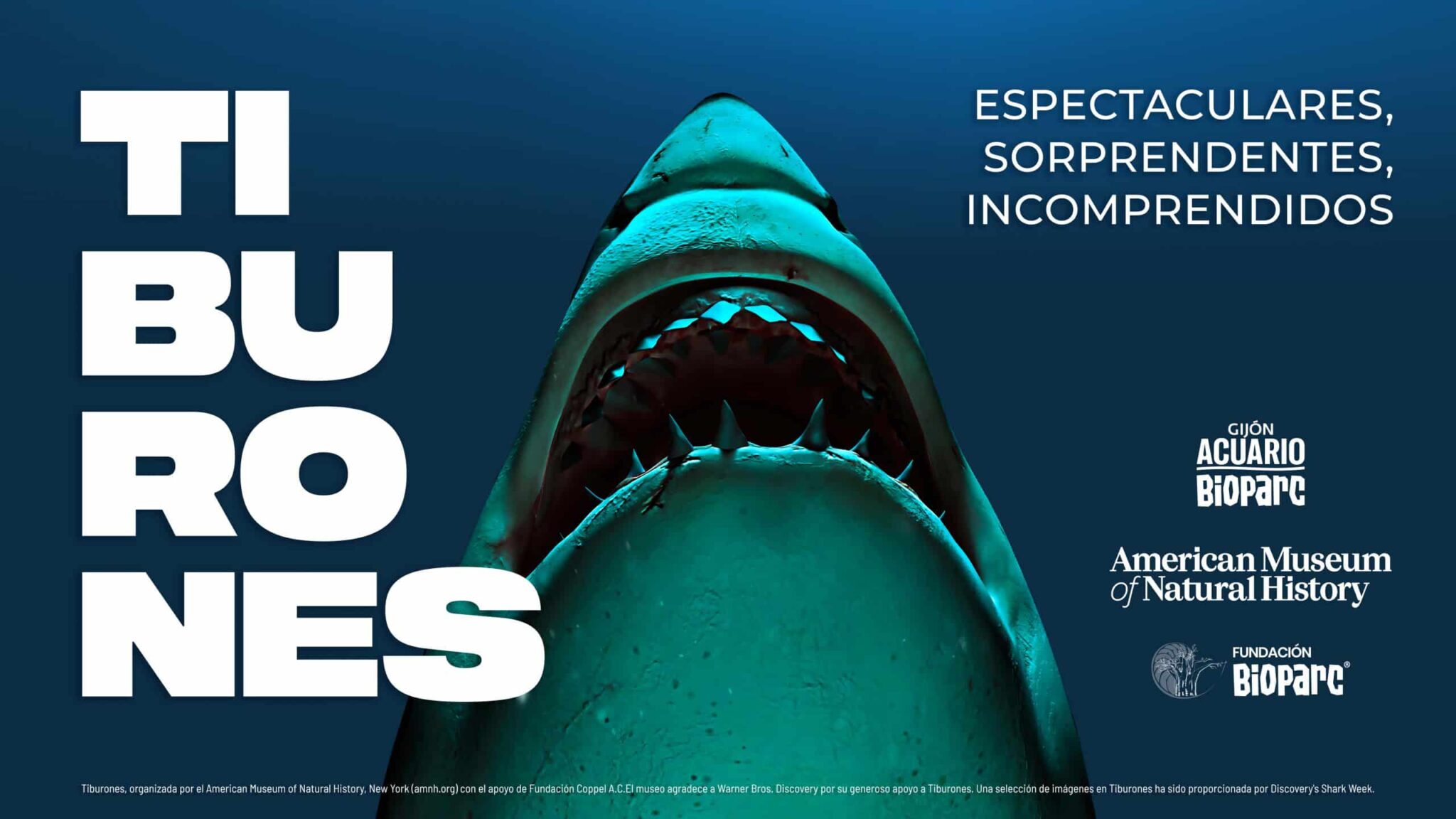 "Sharks" Exhibition - BIOPARC Gijón Aquarium